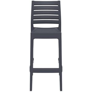 Compamia Ares 29.5" Outdoor Bar Stool in Dark Gray (Set of 2)