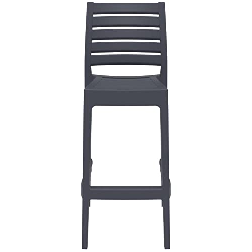 Compamia Ares 29.5" Outdoor Bar Stool in Dark Gray (Set of 2)