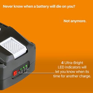 SuperHandy Lithium-Ion Rechargeable Battery 48V DC 2Ah 88.8 Watt Hours (for The Mobility Scooter, ULV Foggers, Earth/Ice Auger and More) (BL481-SH)