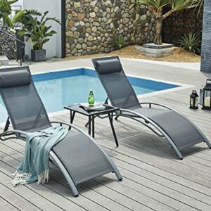 Tappio 2Pcs Chaise Lounge Chair Set, Patio Lounge Chairs for Outside Pool, Patio Chair with Adjustable Backrest for Outside in Swimming Pool, Beach Chaise Lounge Outdoor Recliner with Arm, Grey