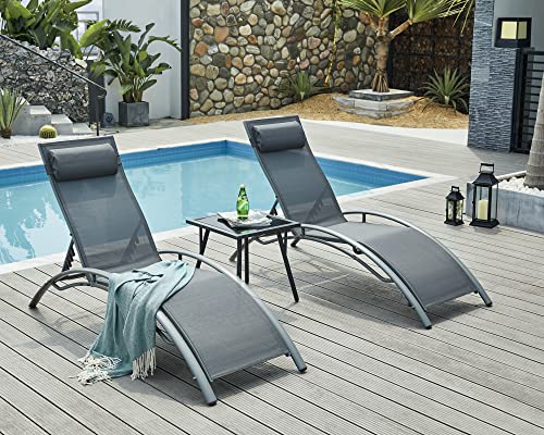 Tappio 2Pcs Chaise Lounge Chair Set, Patio Lounge Chairs for Outside Pool, Patio Chair with Adjustable Backrest for Outside in Swimming Pool, Beach Chaise Lounge Outdoor Recliner with Arm, Grey