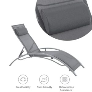 Tappio 2Pcs Chaise Lounge Chair Set, Patio Lounge Chairs for Outside Pool, Patio Chair with Adjustable Backrest for Outside in Swimming Pool, Beach Chaise Lounge Outdoor Recliner with Arm, Grey