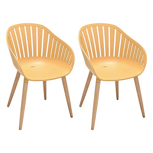 Armen Living Nassau Outdoor Patio Arm Dining Chairs, 17" Seat Height, Set of 2, Eucalyptus and Honey Yellow