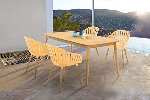 Armen Living Nassau Outdoor Patio Arm Dining Chairs, 17" Seat Height, Set of 2, Eucalyptus and Honey Yellow