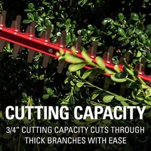 Greenworks 24V 22" Cordless Laser Cut Hedge Trimmer, 4.0Ah USB Battery and Charger Included