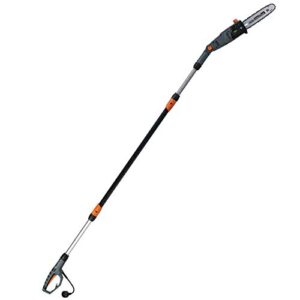 scotts outdoor power tools ps45010s 10-inch 8-amp corded electric pole saw, adjustable head & oregon bar and chain