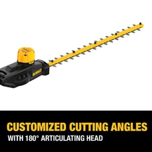 DEWALT 20V MAX* Pole Saw and Hedge Trimmer Attachment, 15-foot Reach, Brushless, Tool-Only (DCPS620B & DCPH820BH)