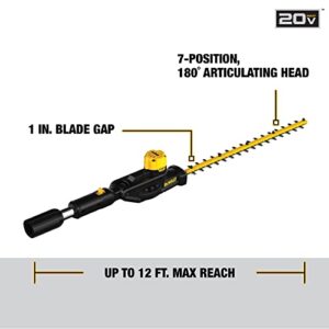 DEWALT 20V MAX* Pole Saw and Hedge Trimmer Attachment, 15-foot Reach, Brushless, Tool-Only (DCPS620B & DCPH820BH)