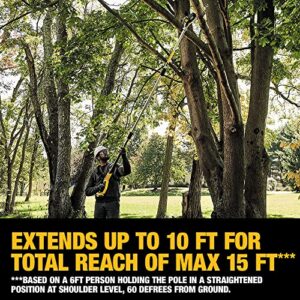 DEWALT 20V MAX* Pole Saw and Hedge Trimmer Attachment, 15-foot Reach, Brushless, Tool-Only (DCPS620B & DCPH820BH)