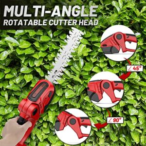 Dragro Cordless Grass Shears, 2 in 1 Electric Mini Hedge Trimmer Cordless, Handheld Grass Hedge Cutter Clippers, Battery Operated Weed Hedge Trimmer with 2Pcs 24V 2.0Ah Batteries and Charger Included