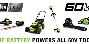 Greenworks Pro 60-Volt Max-Volt 5-Amp Hours Rechargeable Lithium Ion (Li-ion) Cordless Power Equipment Battery