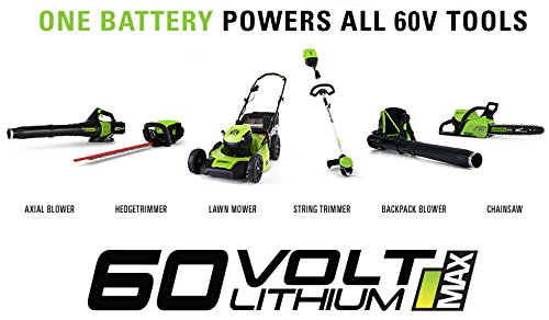 Greenworks Pro 60-Volt Max-Volt 5-Amp Hours Rechargeable Lithium Ion (Li-ion) Cordless Power Equipment Battery