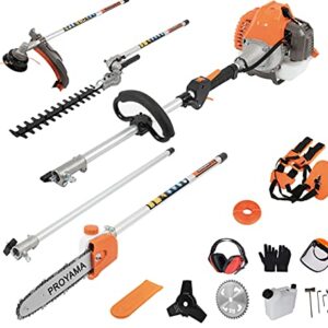 PROYAMA Powerful 42.7cc 5 in 1 Multi Functional Trimming Tools,Gas Hedge Trimmer,Weed Eater,String Trimmer, Brush Cutter,Pole Saw with Extension Pole