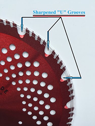 1 Blade 10"-80t -- Renegade "Razor" / Hybrid -- Combo Specialty -- RENEGADE BLADE® - Carbide Brush Cutter Weed Eater Blades, 254mm