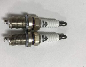 set of 2, rc14yc champion spark plugs