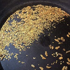 PIONEER GOLD Paydirt Panning Pay Dirt Bag - Gold Prospecting Concentrate Large