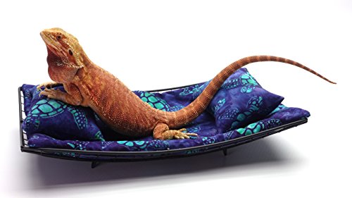 Chaise Lounge for Bearded Dragons, Sea Turtles Fabric