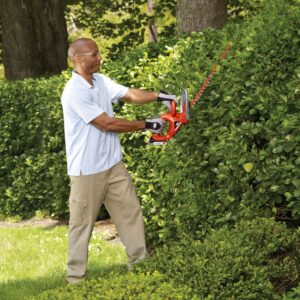 Black & Decker LHT120 22-Inch 20-Volt Lithium-Ion Cordless HedgeHog Hedge Trimmer