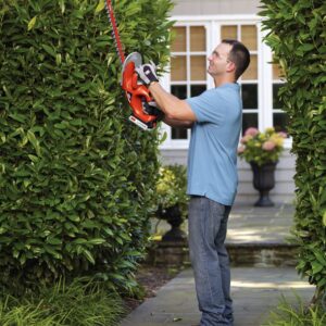 Black & Decker LHT120 22-Inch 20-Volt Lithium-Ion Cordless HedgeHog Hedge Trimmer