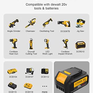 TeenPower Replacement for Dewalt 20V Battery 6000mAh 2/pk Compatible with Dewalt 20v max Battery DCB205 DCB206 DCB204 DCB200 DCB203 DCB201