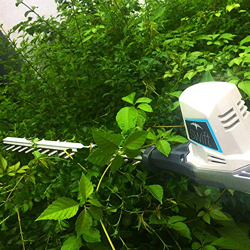 40V Cordless Pole Hedge Trimmer Long Reach 18" Cutting Length 6 Position Adjustable Head with 2Ah Battery and Charger