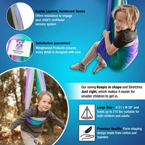 Sensory Swing + 360° Swivel Hanger, Double Layer Indoor + Outdoor Swing for Kids, Hanging Pod Chair, Helps with Sensory Disorders, Autism, ADHD, Anxiety, Therapy Swing, Pod Swing Chair