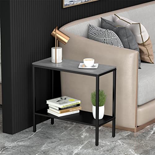 LIRUXUN 2 Tier Side Table Couch Desk Coffee Holder with Metal Frame for Living Room Bedroom