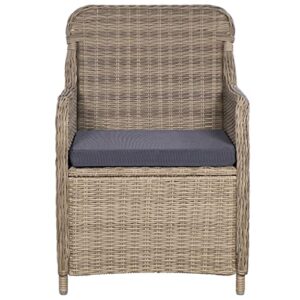 HechoVinen 2 pcs Patio Chair,Outdoor Rattan Wicker Chairs Set with Cushions,Conversation Lounge Chair Set for Porch Lawn Poolside Backyard 25.2" x 25.6" x 35.4" Brown