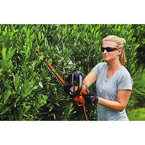 BLACK+DECKER Hedge Trimmer with Safety Eyewear, Lightweight, Clear Lens (BEHT200 & BD250-1C)