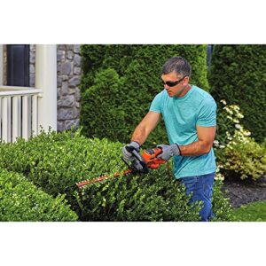 BLACK+DECKER Hedge Trimmer with Safety Eyewear, Lightweight, Clear Lens (BEHT200 & BD250-1C)