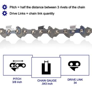 Anzac 8 Inch Chainsaw Chain Replacement for 901289001 Poulan Homelite Ryobi RY43160 RY43161 Pole Saw 30254EG UT-43160 3/8" LP Pitch .043" Gauge 34DL Chain Semi Chisel 2 Pack