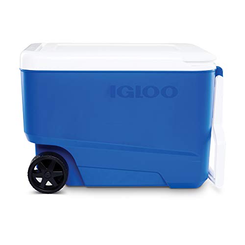 Igloo 00034482 Wheelie Cool 38 Majestic Blue, White, White, White