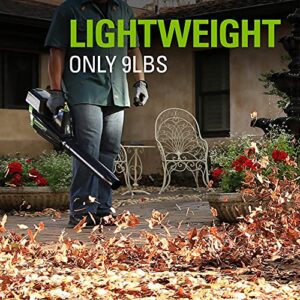 Greenworks Pro 80V (125 MPH / 500 CFM) Cordless Axial Leaf Blower, 2.0Ah Battery and Charger Included GBL80300