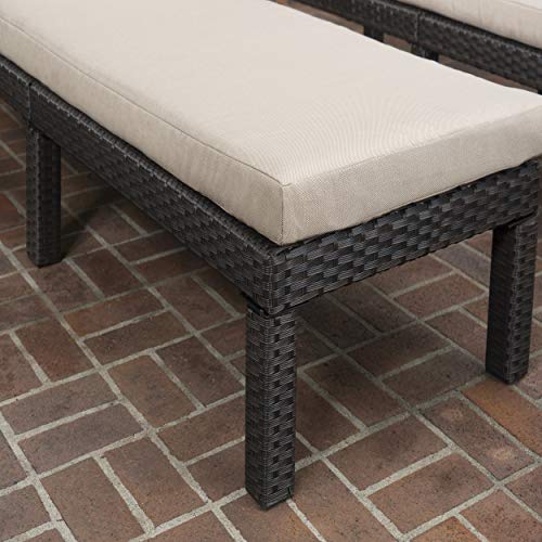 Christopher Knight Home Puerta Outdoor Wicker Chaise Lounges with Water Resistant Cushion, 2-Pcs Set, Dark Brown / Beige