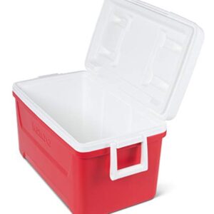 Igloo 00050063 Laguna 48 Red Star, White, White, White