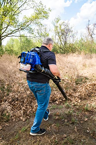 WILD BADGER POWER Leaf Blower Backpack,43cc Gas Powered Cordless 2-Cycle Engine for Lawn Care, 650CFM 152MPH Strong Air Flow for Leaf, Sand, Gravel and Snow,Light Weight 17.4 lbs