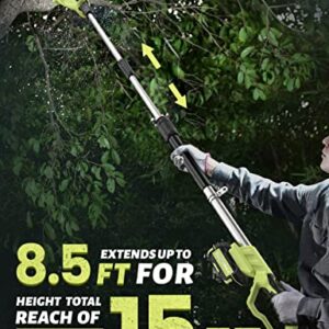 VANQUE 20V Cordless Pole Saw, 15-Foot MAX Reach Pole Saws for Tree Trimming, Battery Pole Saw for Branch Cutting, Trimming, Pruning, Adjustable Head & 8-Inch Bar and Chain, 4.0Ah Li-ion Battery