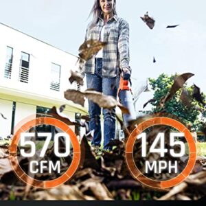 FIILPOW 40V 570CFM Leaf Blower, Brushless Leaf Blower Cordless with 2×4.0Ah Battery and Fast Charger, Turbo Mode and 3 Variable Speed Lock, Axial Fan, Blower for Lawn Care, Yard, Driveway, Walkway