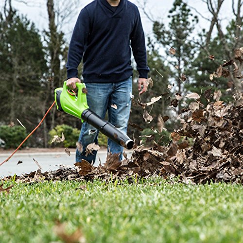 Greenworks 9 Amp Jet Electric Leaf Blower, BA09B00