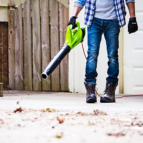 Greenworks 9 Amp Jet Electric Leaf Blower, BA09B00