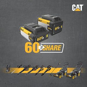 Cat® 60V Blower with Brushless Motor 800 CFM (Battery & Charger Included) - DG651