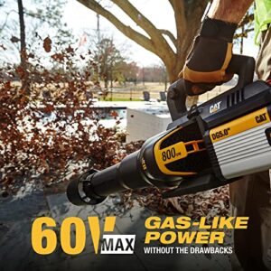 Cat® 60V Blower with Brushless Motor 800 CFM (Battery & Charger Included) - DG651