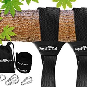 Easy Hang Tree Swing Straps- Holds 2200lbs. - Heavy Duty Carabiner and Spinner - Perfect for Tire and Saucer Swings, Waterproof - Easy Picture Instructions - Carry Bag Included! (8 Feet Double)