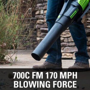 Greenworks PRO 170 MPH 700 CFM 60V Battery Cordless Handheld Leaf Blower (Tool Only), (BL60L02)