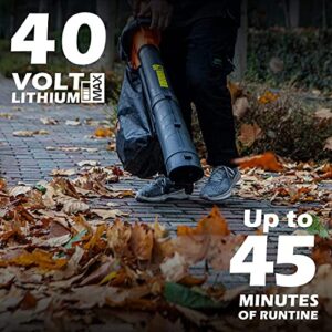 AIVOLT 40V Cordless Leaf Blower Vacuum - 600CFM 150MPH 3 in 1 Battery Powered Leaf Blowers/Mulcher with 2X 2.0 Ah Batteries and Quick Charger for Lawn Care and Snow Blowing