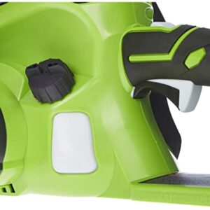 Greenworks 40V 12-Inch Cordless Chainsaw, Tool Only