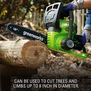 Greenworks 40V 12-Inch Cordless Chainsaw, Tool Only