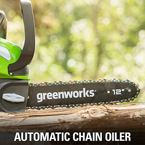 Greenworks 40V 12-Inch Cordless Chainsaw, Tool Only