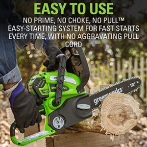 Greenworks 40V 12-Inch Cordless Chainsaw, Tool Only