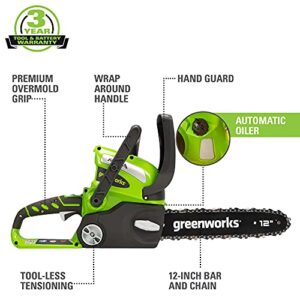 Greenworks 40V 12-Inch Cordless Chainsaw, Tool Only